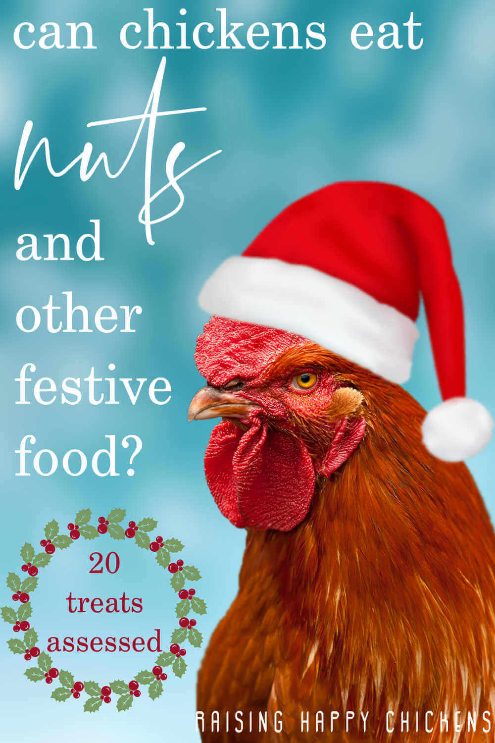 Can Chickens Eat Nuts And Other Party Foods