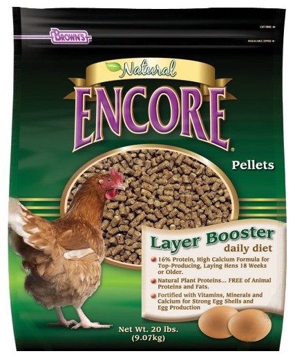 Are high protein foods good for chickens?