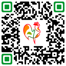 Solitary confinement for chickens: when, why and how.